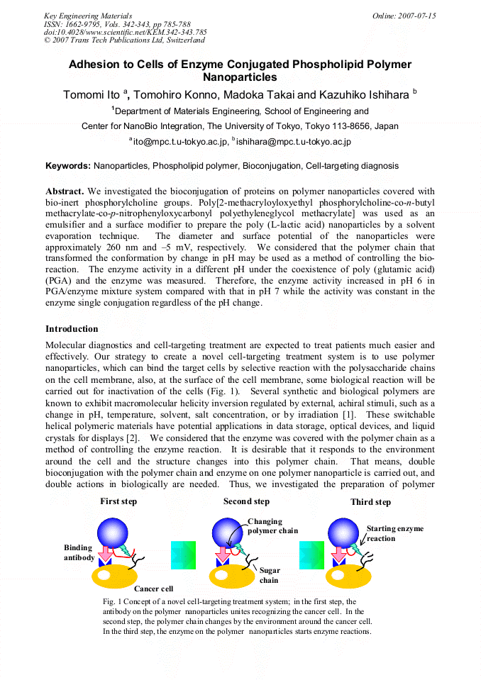 Adhesion to Cells of Enzyme Conjugated Phospholipid Polymer ...