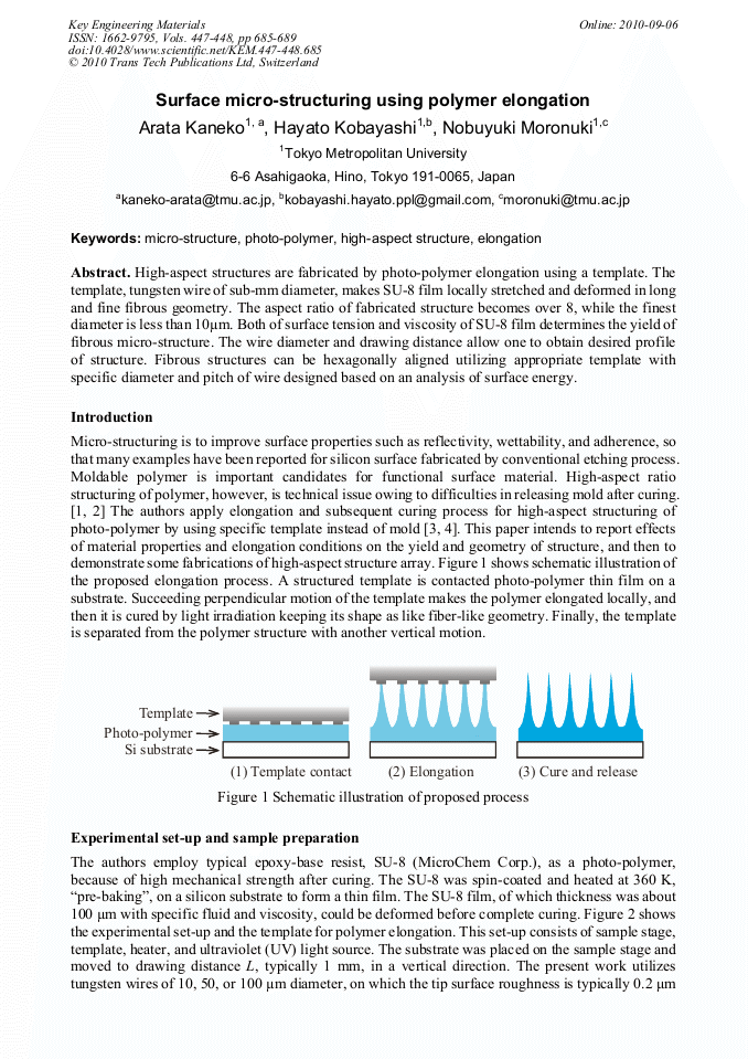 Surface Micro-Structuring Using Polymer Elongation | Scientific.Net