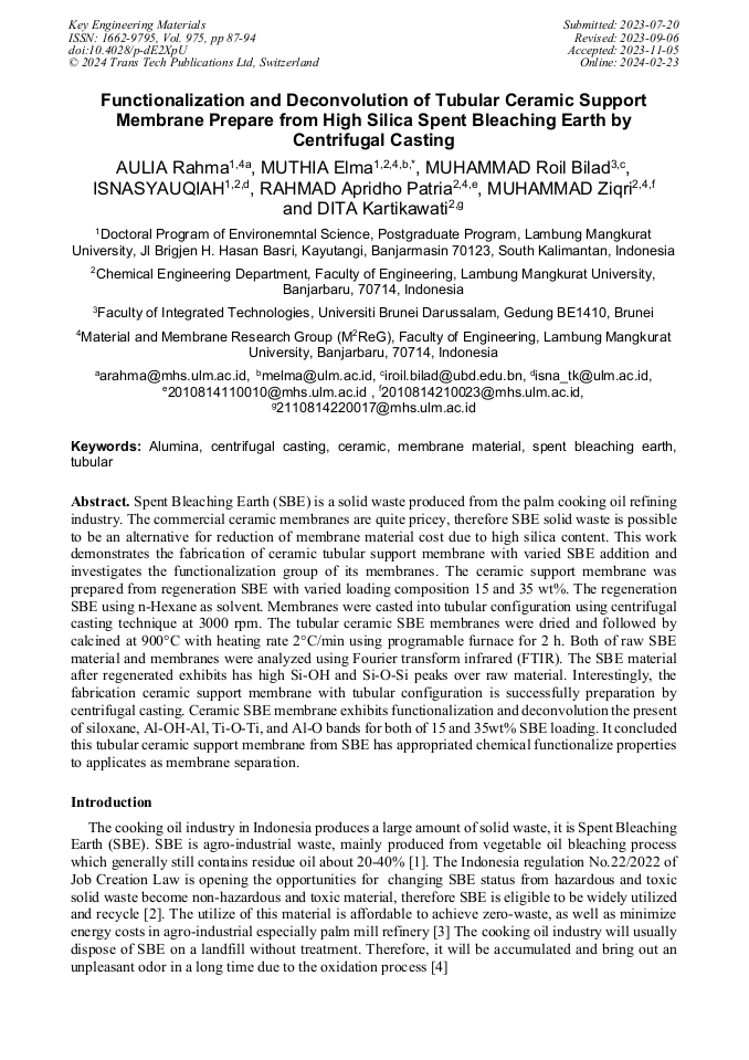 Functionalization and Deconvolution of Tubular Ceramic Support Membrane ...