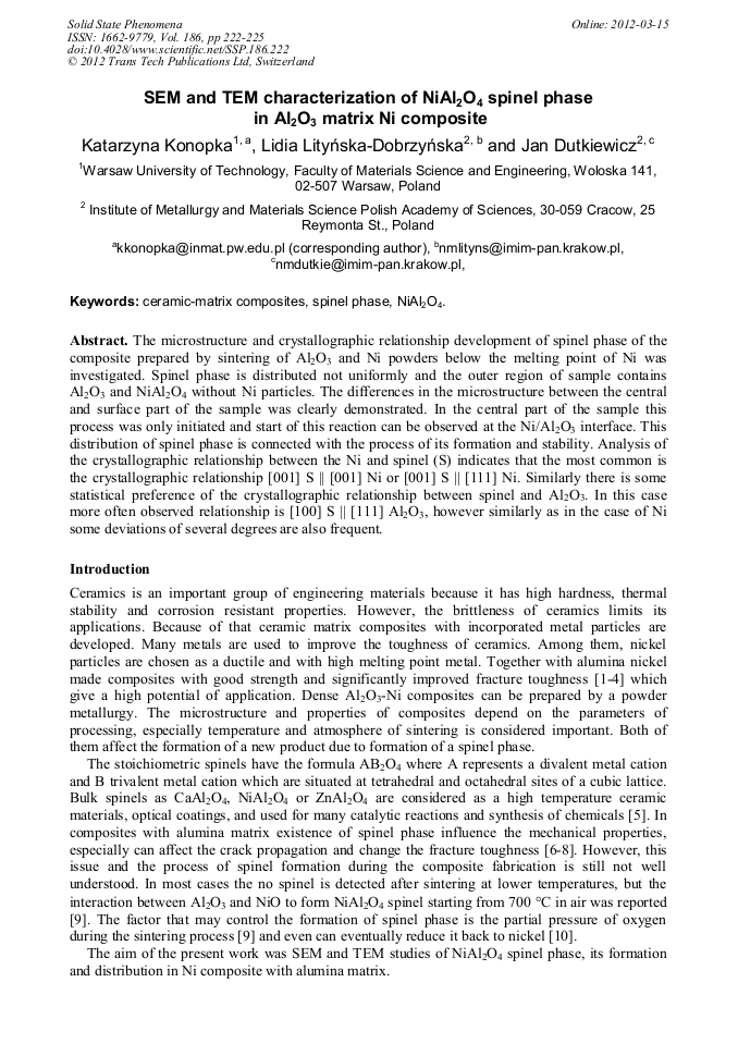 SEM and TEM Characterization of NiAl2O4 Spinel Phase in Al2O3 Matrix Ni ...